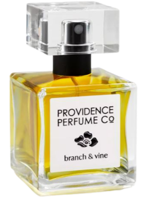 Providence Perfume Co. BRANCH & VINE eau de cologne ~ Fragrance Vault ...